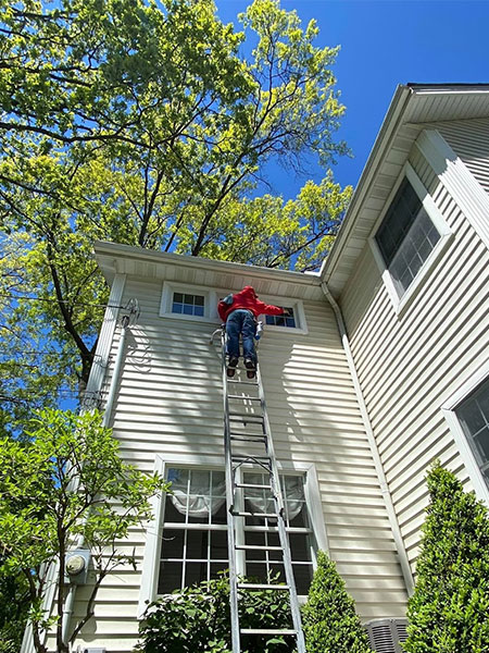 Window Cleaning Services Near Me - Century Pyramid Building Maintenance